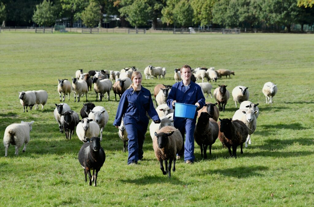 Discover your future at Merrist Wood College’s November Open Event ...