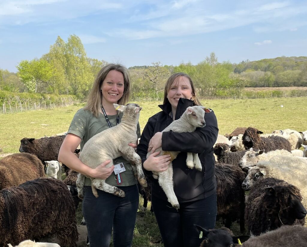 Merrist Wood staff members graduate land-based leadership programme ...