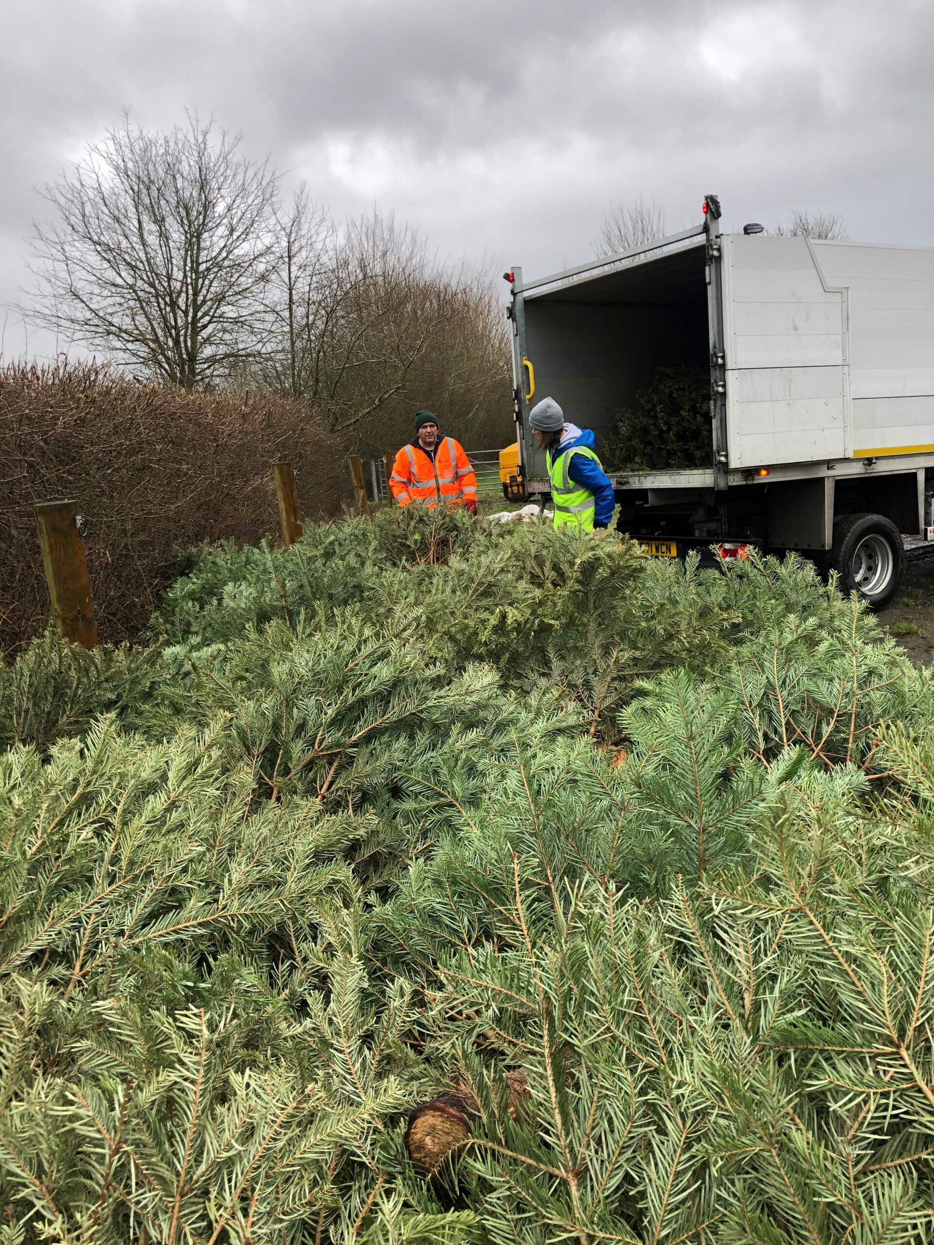 Merrist Wood College partners with Shooting Star Children’s Hospices on ...