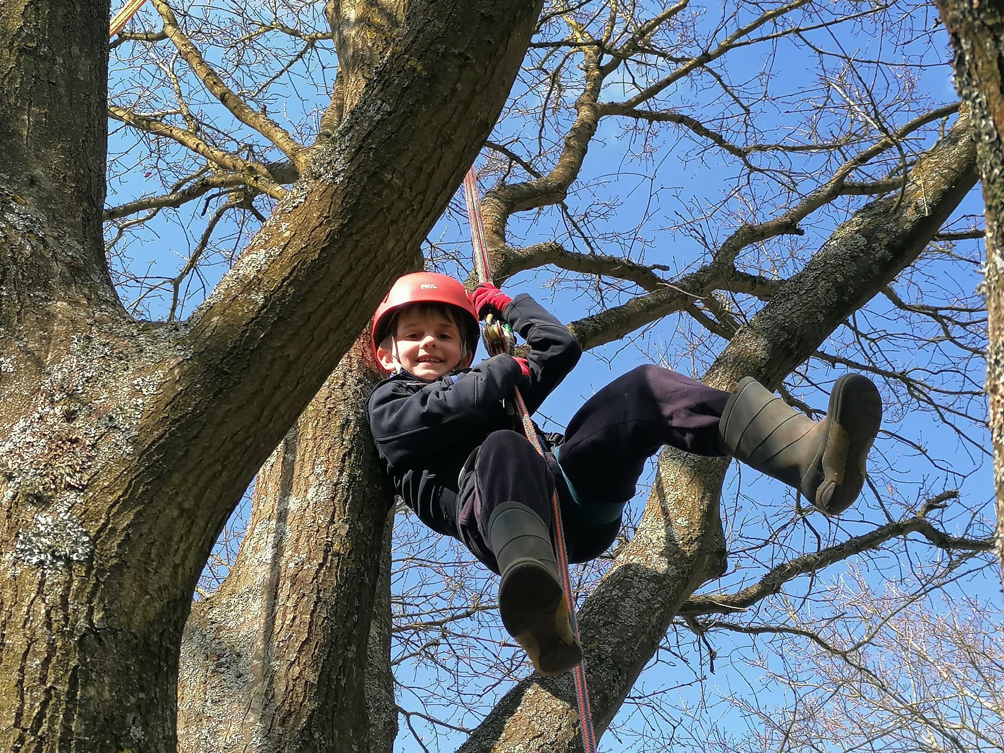 Merrist Wood College’s Fleecy Frolics Delights Visitors with Adorable ...