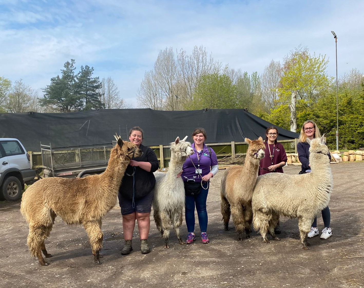 Merrist Wood College’s Fleecy Frolics Delights Visitors with Adorable ...